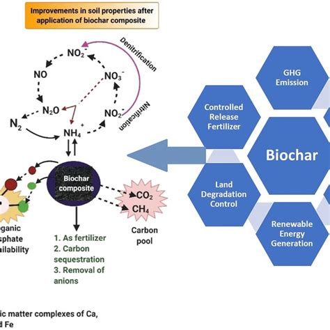Potential Applications Of Modified Biochar For Several Environmental