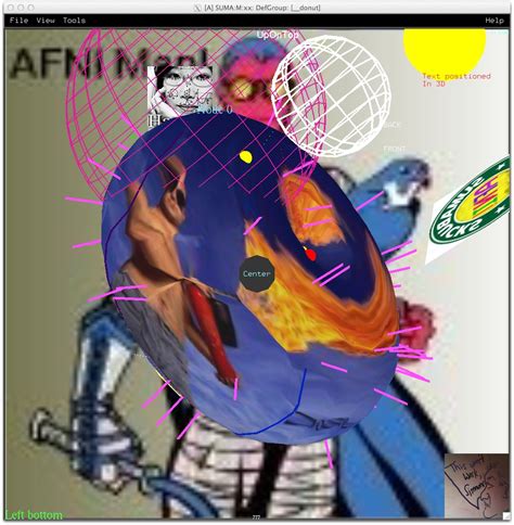 12 1 self guided demo scripts — afni suma and fatcat v25 2 07