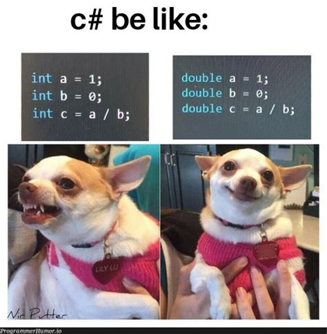 Lol Mathematicians Cant Program