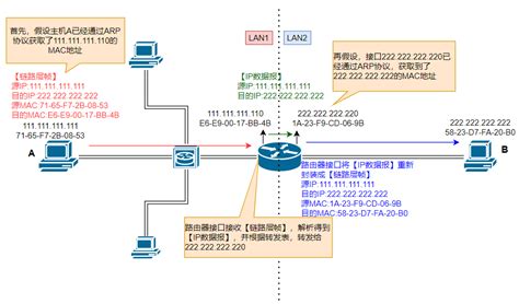 Arp 协议详解 网络层 Javaguide