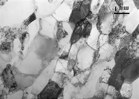 Fragmentated Subgrain Structure Showing Different Progress Of Download Scientific Diagram