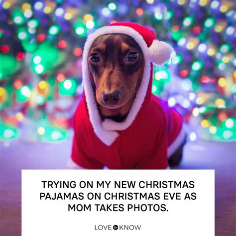 17 Christmas Eve Memes To Keep Laughing Until Santa Arrives Lovetoknow