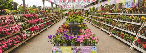 Whitehall Garden Centre Lacock