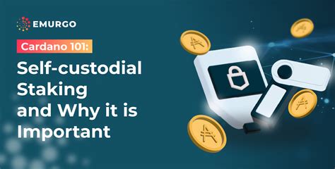Cardano 101 Self Custodial Staking And Why It Is Important Essential Cardano
