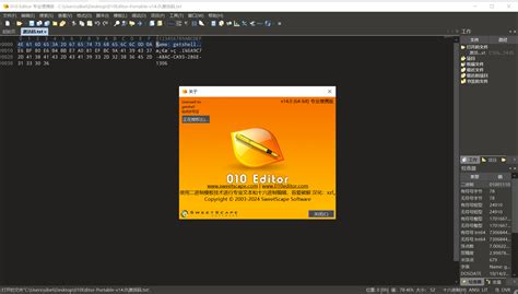 【十六进制编辑器】010editor V140 专业汉化版 Csdn博客
