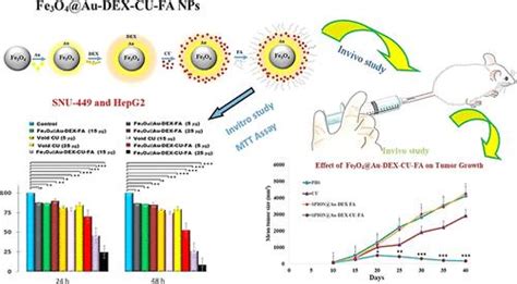 基于叶酸功能化磁性金纳米颗粒的肝脏靶向药物递送研究：体外、体内和对接研究 Acs Biomaterials Science And Engineering X Mol