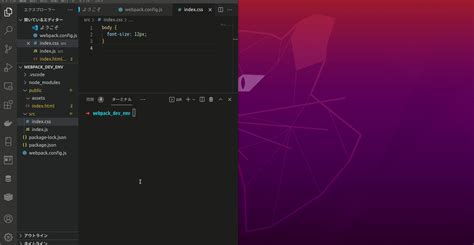 Webpack Html Css