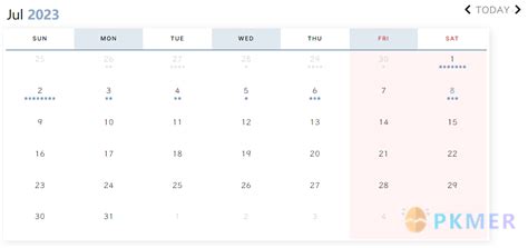Pkmerdataview 提供的四种查询类型