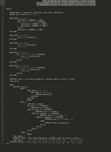 Arreglos Pseudocodigo Matriz Dispersa Figura Cuadrado En Vector Tutorias Co