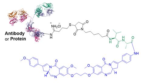 Antibody Or Protein Pbd Dimer Conjugation Kit With Val Ala Linker