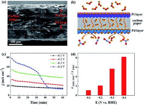 Electrochemical Promotion Of Catalysis Over Pd Nanoparticles For Co 2