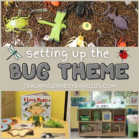 Insect Habitat Activities At Lynda Rahman Blog