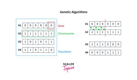 Types Of Local Search Algorithm Scaler Topics
