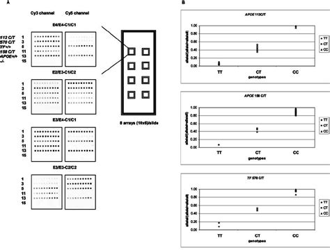 Examples Of Microarray Analysis By The Ldruniversal Array Approach A