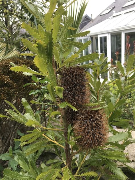 38 B6 D76 F B855 4 Aaa B4 B6 393 A199781 Ea — Postimages