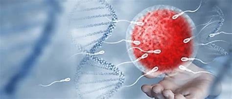 Pathogen Test Kits Ict Page 2 Alta Diagnotech