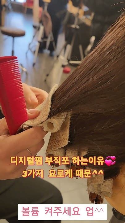 여자머리 디지털펌 부직포 하는이유세가지💞셋팅펌 열펌 파마 여자머리 여자머리추천 스타일링 뷰티 Shorts Youtube