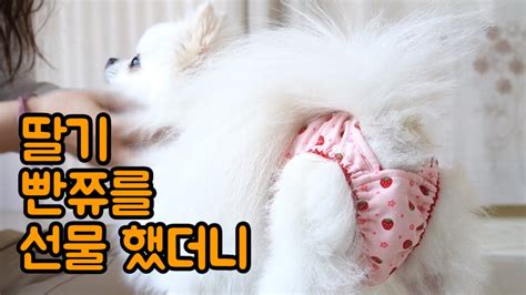 네이버 인플루언서