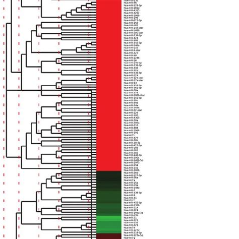 Hierarchical Clustering Analysis Of Differentially Expressed Mirnas Download Scientific