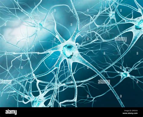 Nerve Cell Wallpaper