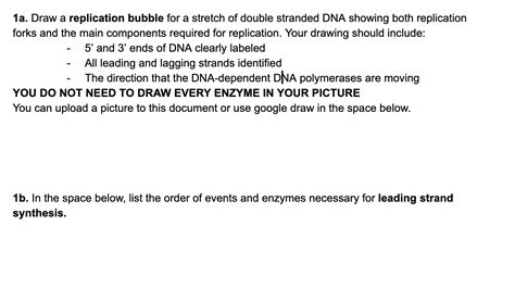 Solved 1a Draw A Replication Bubble For A Stretch Of Double Chegg Com