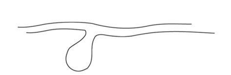 Chapter From DNA To Protein RNA Flashcards Quizlet