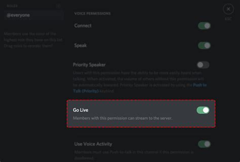 fix discord go live not working