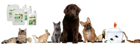 АМЕКОН ЭСТ Дерматологические СИЗ Спецодежда СОЖ ТМС Текстиль