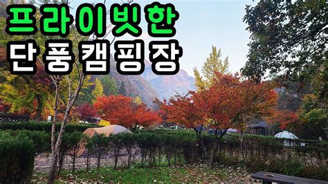 단풍과 나무로 둘러쌓여 사생활 보호되는 프라이빗한 캠핑장 단풍캠핑 캠핑난로 벙커돔 큐브텐트 Youtube