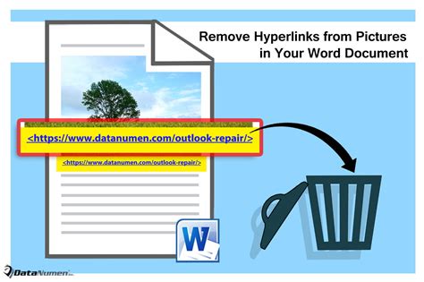 3 Quick Ways To Remove Hyperlinks From Pictures In Your Word Document