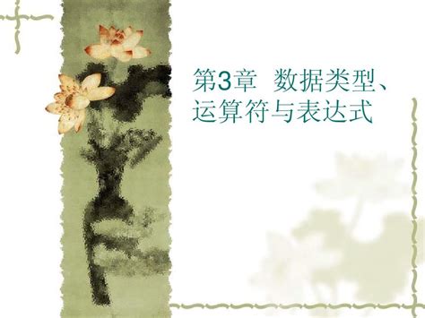 第3章 数据类型、运算符与表达式 word文档在线阅读与下载 无忧文档