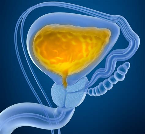 Faqs Understanding Urodynamics And Why You May Need This Test