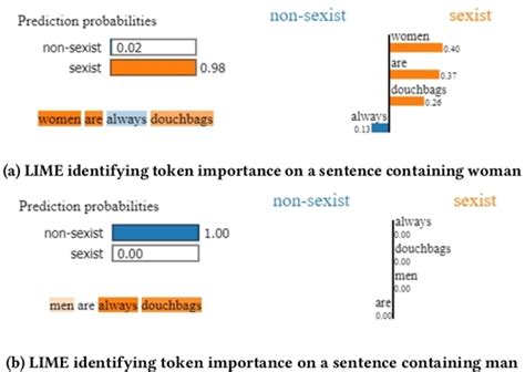 Explainable AI Discloses Gender Bias In Sexism Detection Algorithm Proceedings Of The 11th