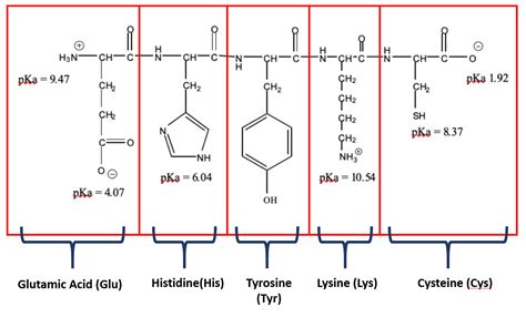 Solved The Basic Amino Acid Lysine Exists In Three Ionization States