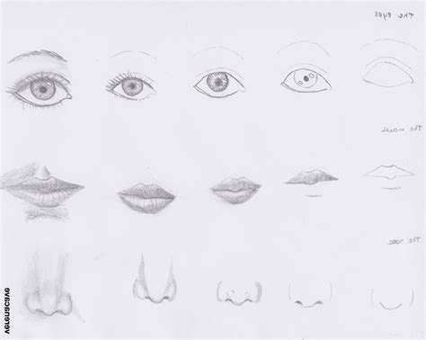 Sketching Exercises For Beginners At PaintingValley Com Explore Collection Of Sketching