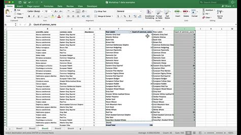 Summarizing Data Using A Pivot Table In Ms Excel Youtube