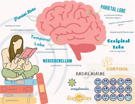 Reading In The Brain Openlab