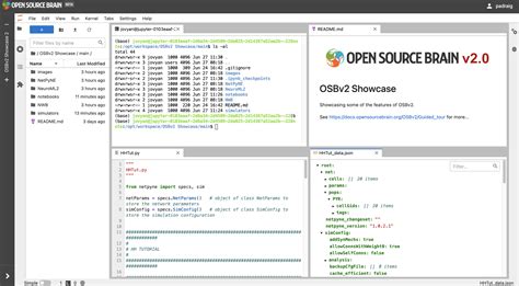 Guided Tour Of Osbv Open Source Brain Documentation