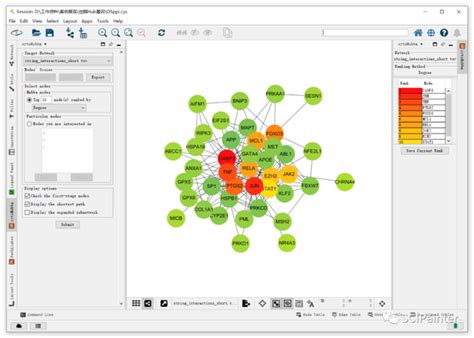 Cytoscape教程 如何挖掘蛋白互作网络中的核心基因 知乎
