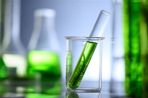 New Project Seeks To Accelerate Development Of Algae Based Products Petreneur