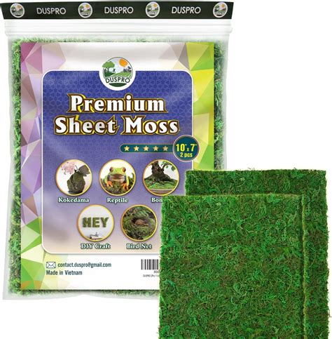 Supermoss 21511 Sheet Moss Preserved Long Lasting Large