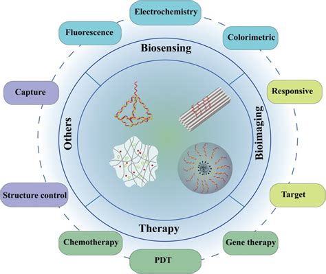 Of The Uses Of Aptamer Functionalized Dna Nanostructures For