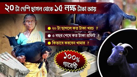 15 টি দেশি ছাগল পালনে 15 লক্ষ আয় দেশি ছাগলে কত লাভ Black Bengal Goat Farming Youtube