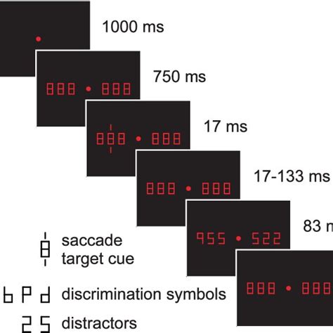 Meg Mvpa Decoding A Mean Mvpa Decoding Accuracy For Task And Outcome