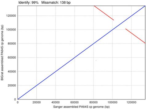 dot matrix alignment of pa64s cp genomes between the assembly based on