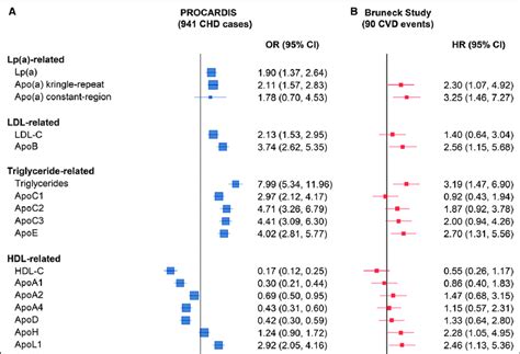 Risk Of Chd In Procardis And Of Cvd In Bruneck In Top Versus Bottom