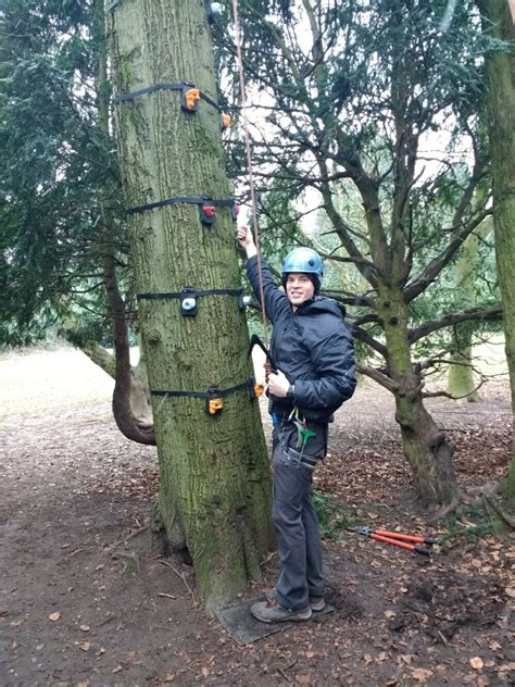 Tree Climbing Classes In Minnesota At Shane Crawford Blog