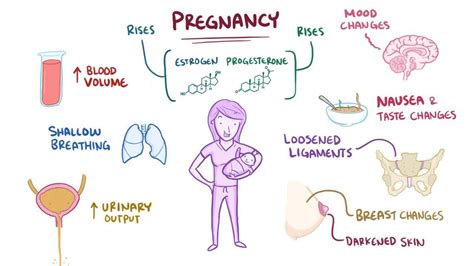 Blue Cervix During Pregnancy
