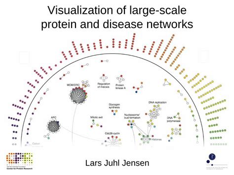 Pdf Visualization Of Large Scaleprotein And Disease Networks Dokumentips