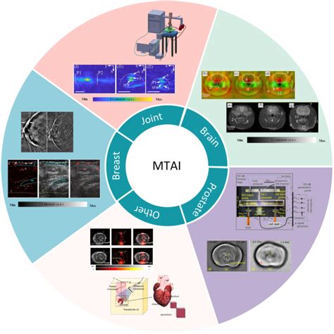 Application Of Mtai In Biomedicine Download Scientific Diagram
